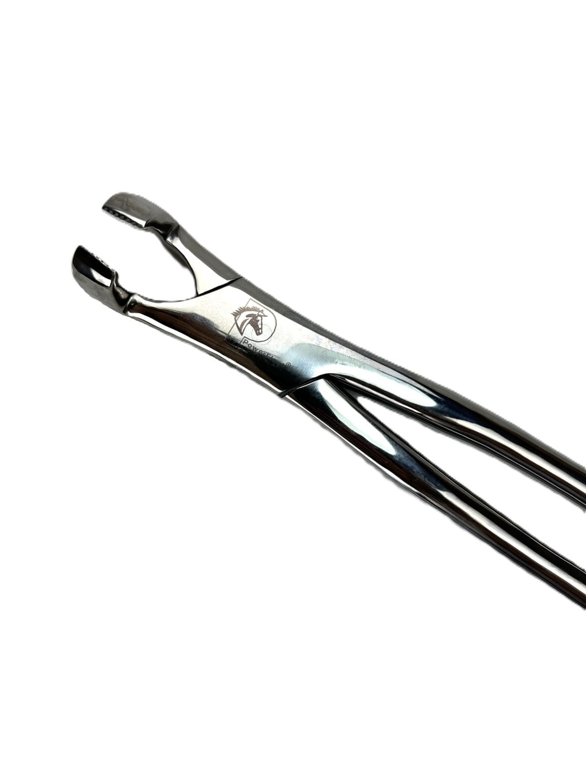 Serrated Jaw Upper Molar Extraction Forceps - Power Float